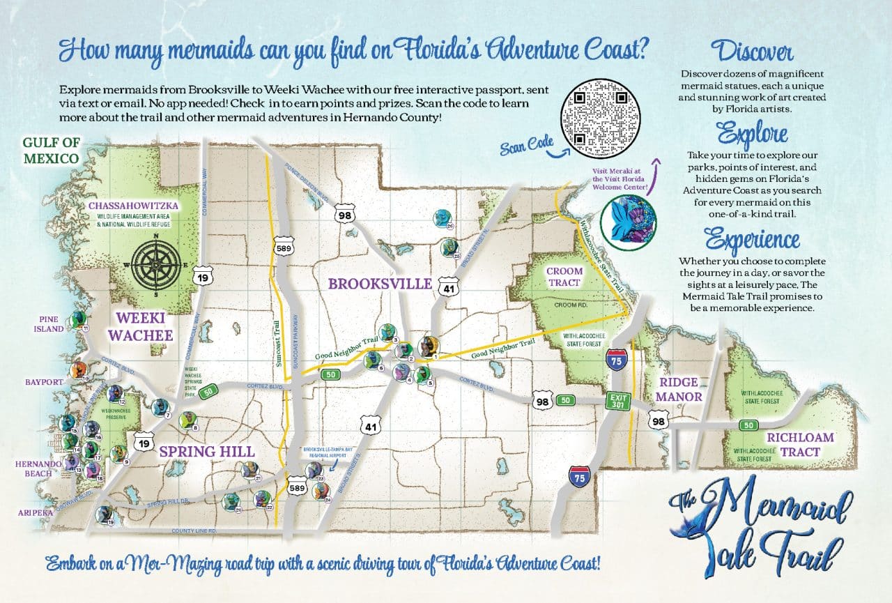 Explore the Enchanting Mermaid Tale Trail in Hernando County | Florida ...